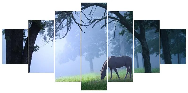 Obraz koně v přírodě (210x100 cm), 40 dalších rozměrů