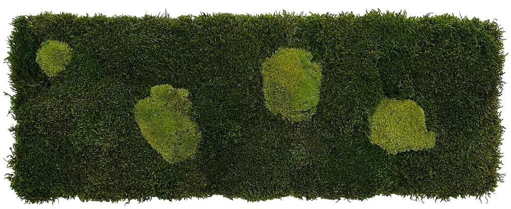 WOODILO Mechový panel | přírodní dlouhovlasý plochý mech | světle zelený kopečkový mech Rozměr: 120x40 cm, Aplikace na stěnu: Bez závěsu (vlastní nalepení např. lepidlem Mamut)