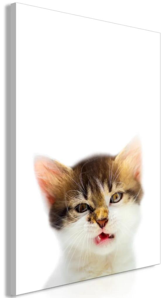 Obraz - Vexed Cat (1 Part) Vertical