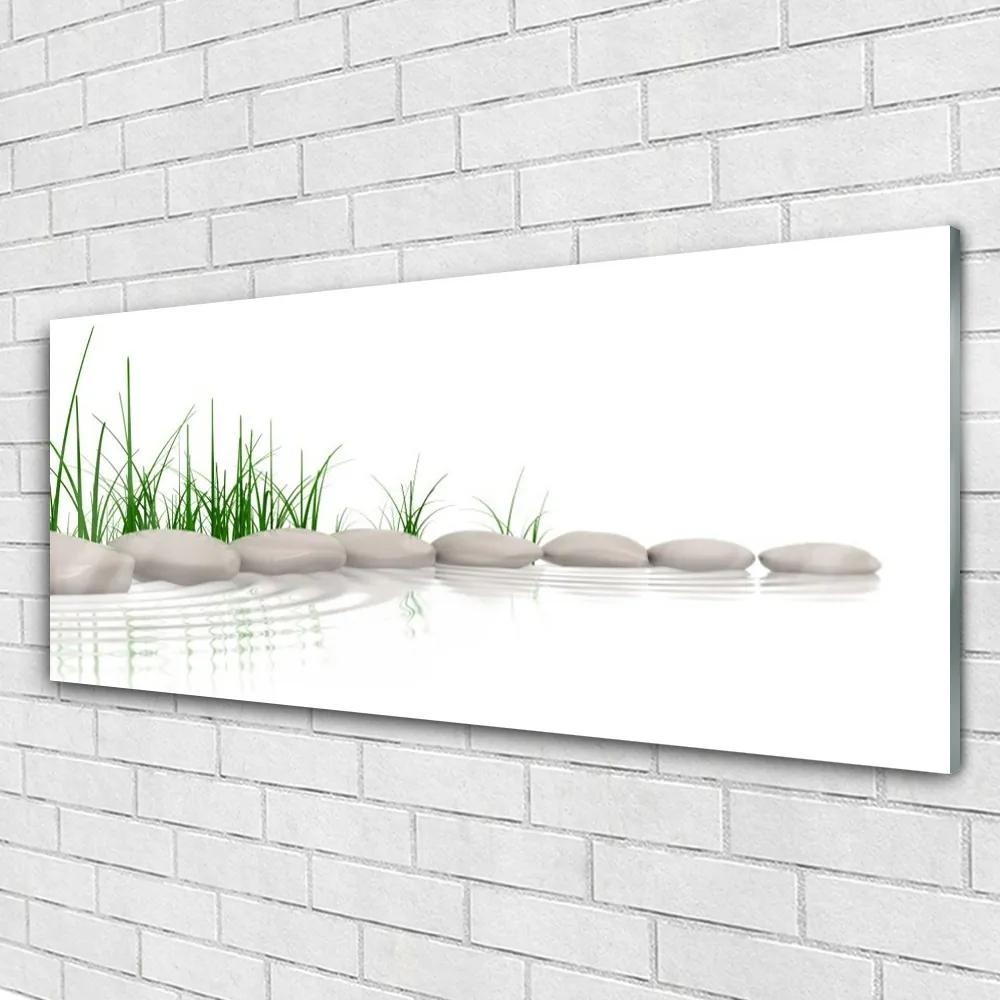 akrylový obraz Kameny Tráva Umění 125x50 cm