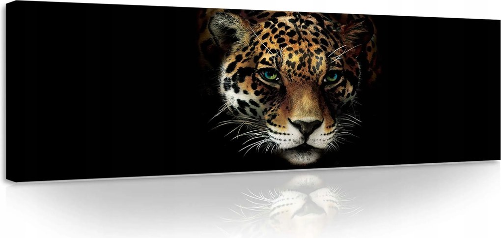 Obraz 145x45 Pohled dravce – Jaguar ve tmě Etnické akcenty
