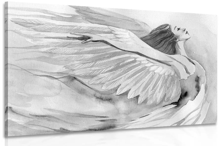 Obraz svobodný anděl v černobílém provedení Varianta: 60x40