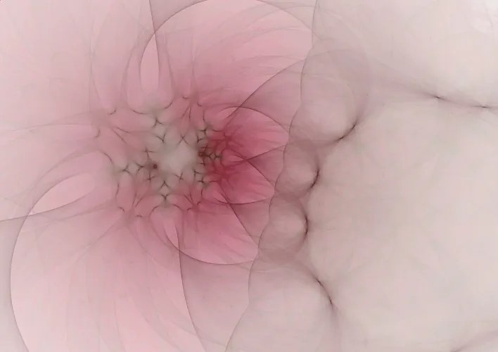 Obraz Rica Belna Graphic Flowers 4