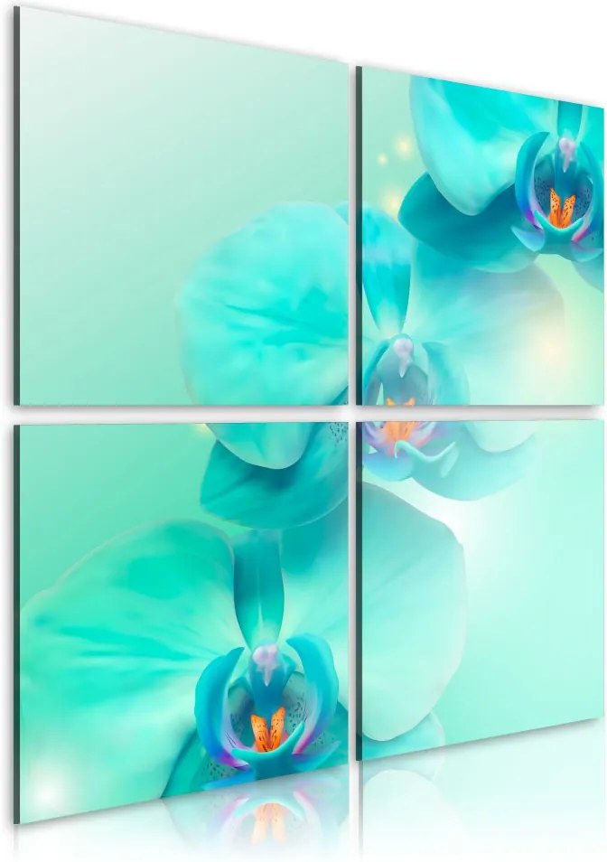 Obraz na plátně Bimago - Sky-modré orchideje 40x40 cm