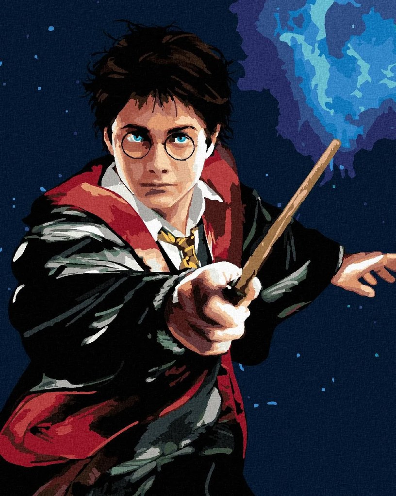 Zuty - harry potter a hůlka, 40×50 cm, bez rámu a bez vypnutí plátna