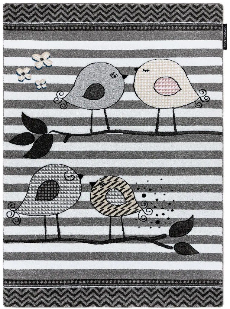 Dywany Łuszczów, Dětský kusový koberec Petit C549 Birds grey, 160x220, šedá, dětský pokoj