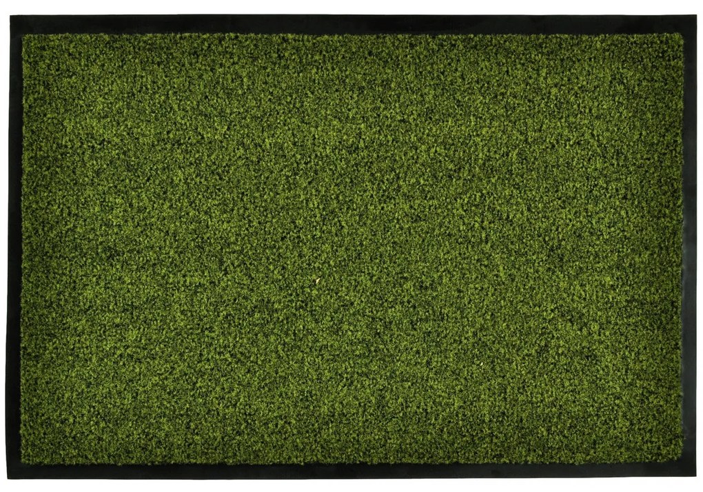 Hanse Home Collection koberce Rohožka Green & Clean 101751 - 40x60 cm
