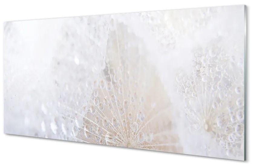 Obraz na skle Kapky pampeliška abstrakce 120x60 cm
