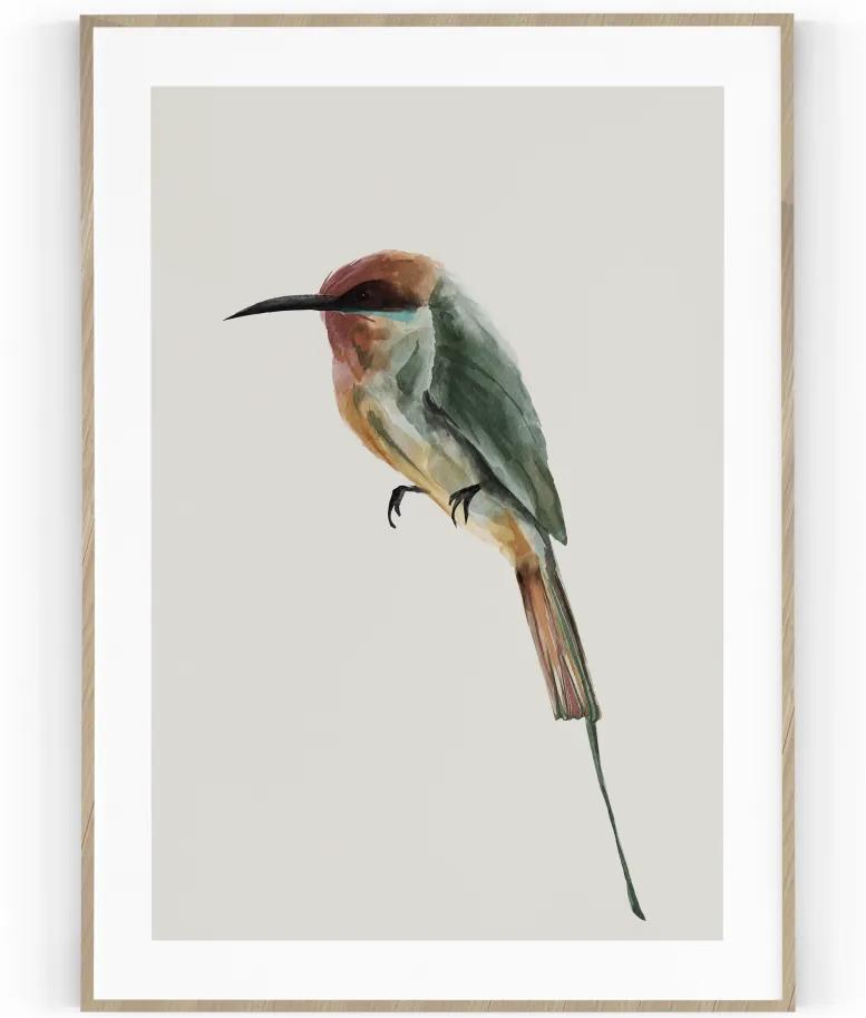 Plakát / Obraz Bird S okrajem Pololesklý saténový papír 210 g/m² A4 - 21 x 29,7 cm