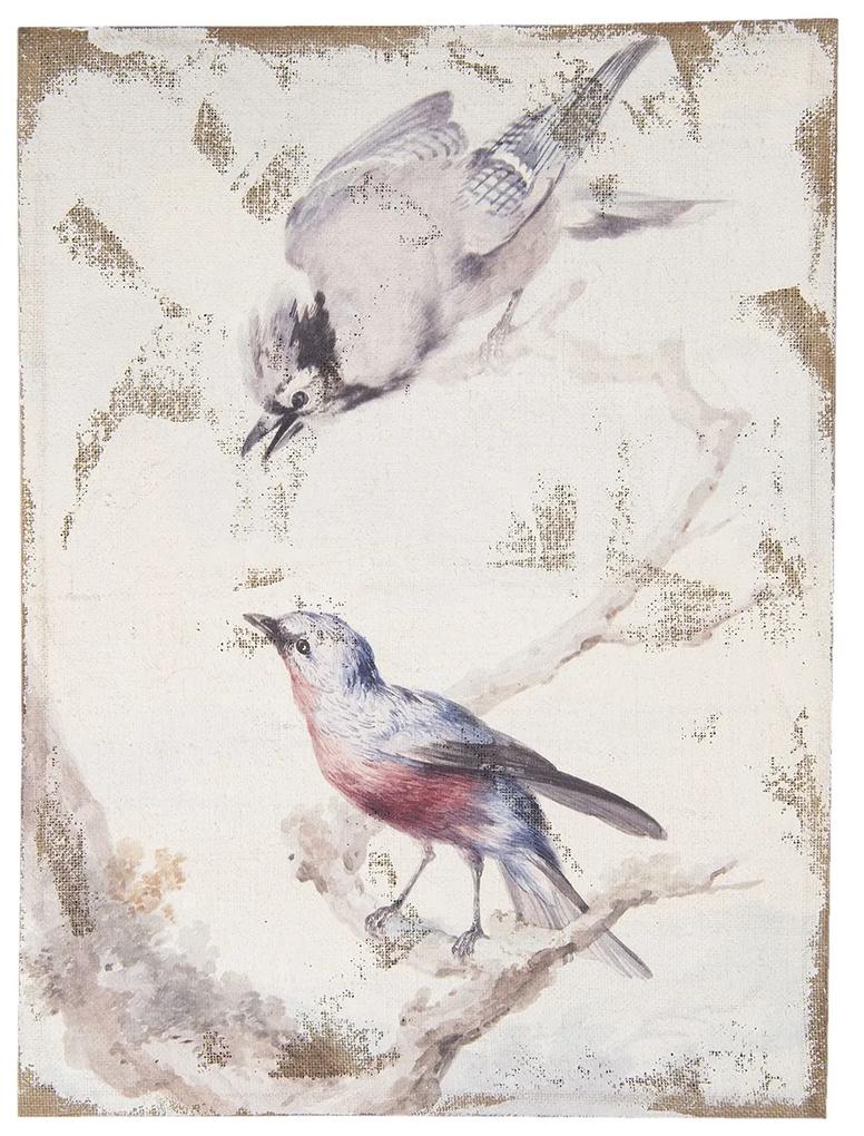 Vintage obraz s motivem ptáčků - 55*3*73 cm