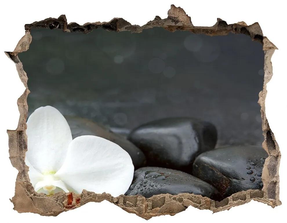 Wallmuralia Samolepící nálepka fototapeta Orchidej 95x64 cm
