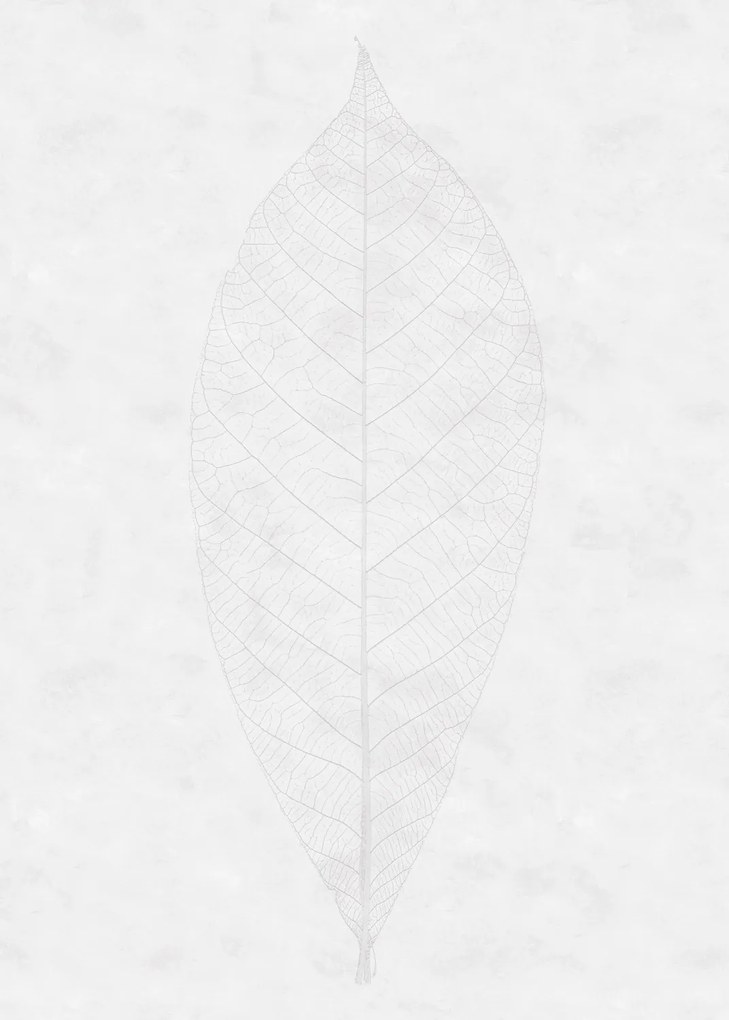 Komar Vliesová fototapeta Decent Leaf 200 x 280 cm