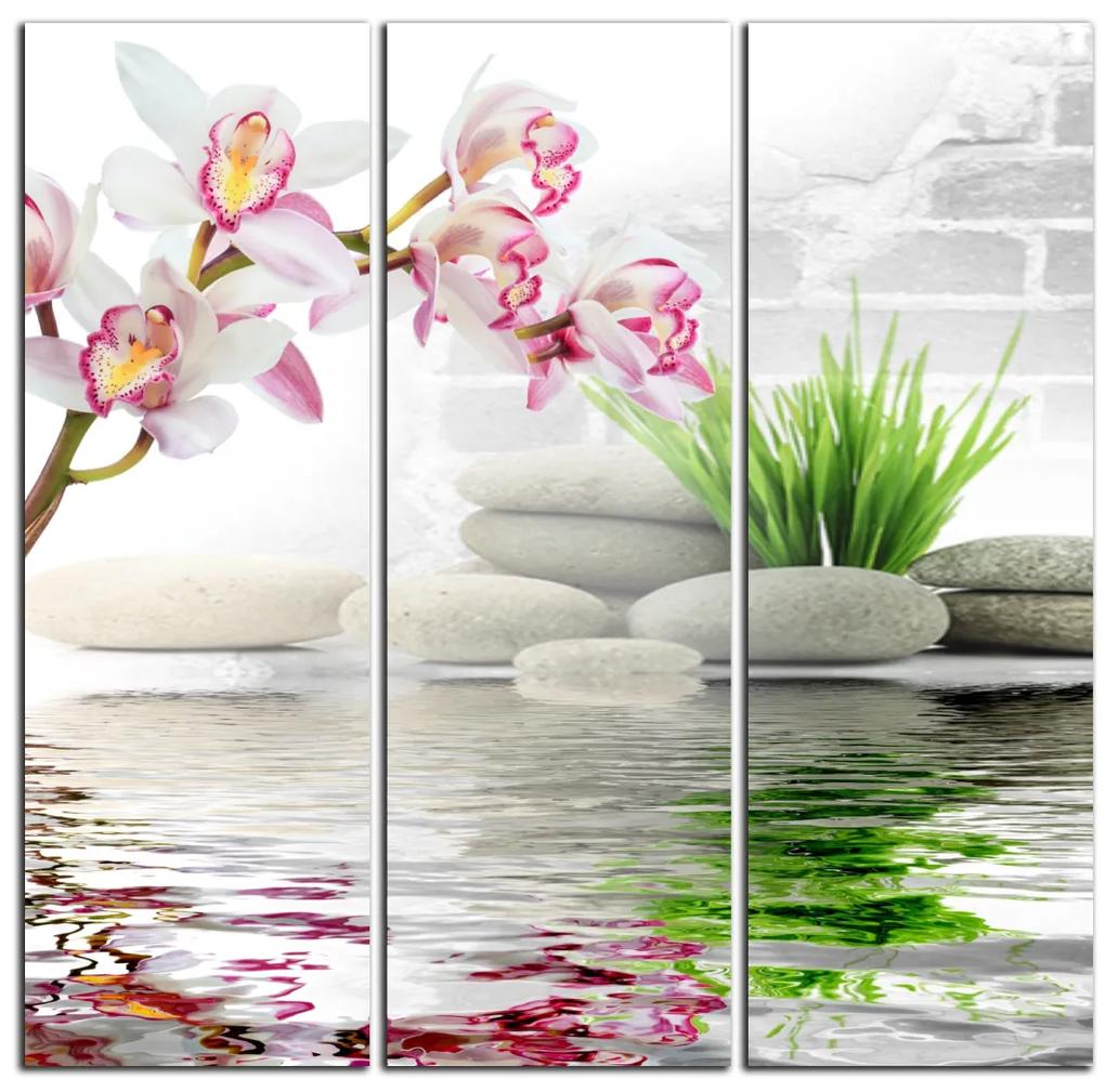 Obraz Orchidej a zen kameny , vícedílný