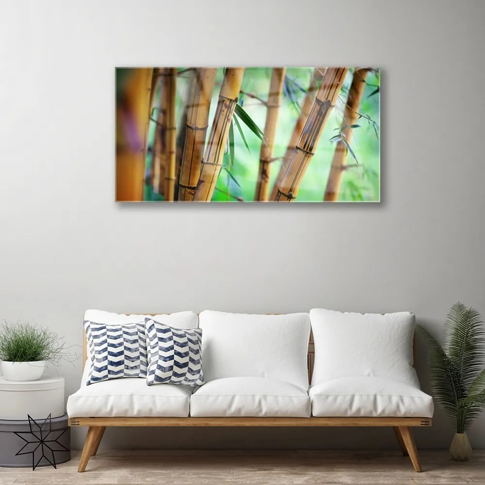 Obraz na skle Bambus Příroda Rostlina 100x50 cm