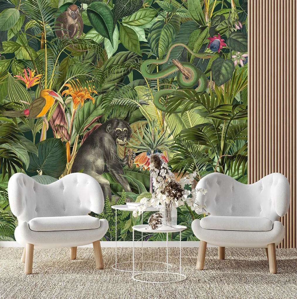 Gario Fototapeta Zvířata z džungle a zelené listy - Andrea Haase Materiál: Vliesová, Rozměry: 100 x 100 cm