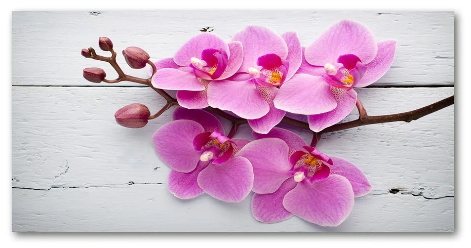 Wallmuralia Foto obraz akrylové sklo Orchidej a na stromě 140x70 cm