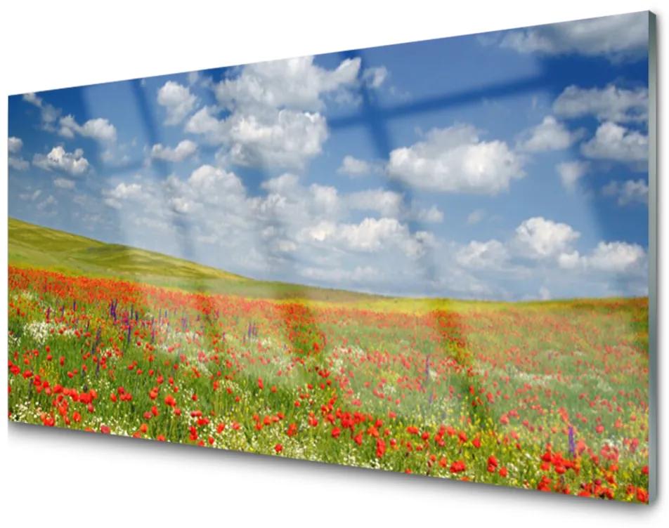Obraz na skle Louka Květiny Krajina