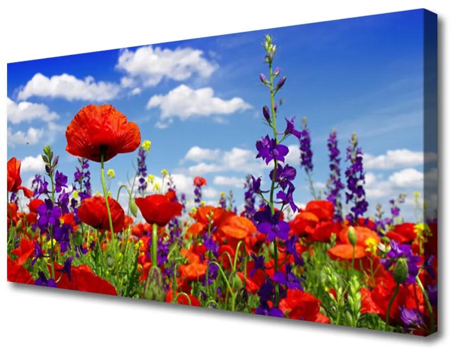 Obraz na plátně Tulipány Rostlina 125x50 cm