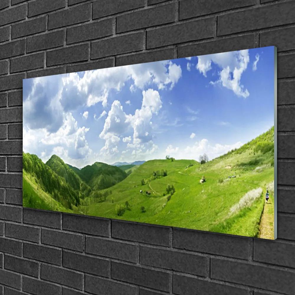 Obraz na skle Hora Louka Příroda 100x50 cm