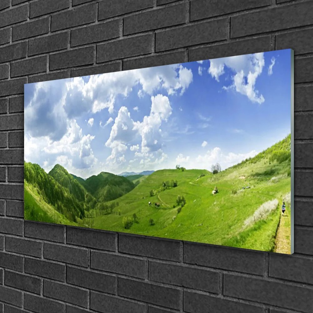 Obraz na skle Hora Louka Příroda 120x60 cm