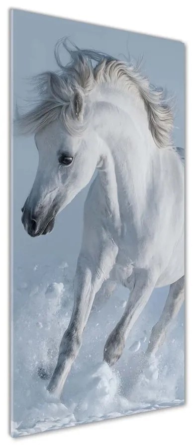 Wallmuralia Foto obraz akrylový Bílý kůň cval 50x125 cm