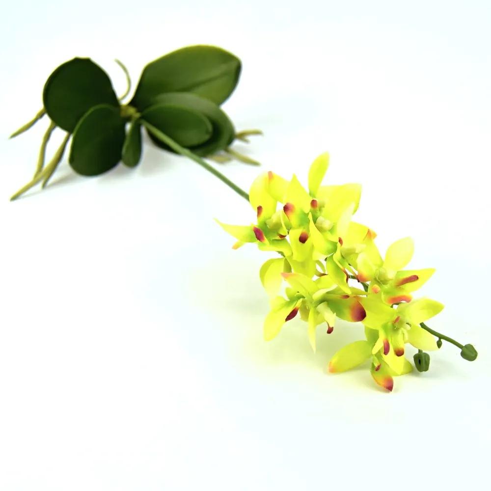 Mini orchidej zelená s vínovým melírem 35cm