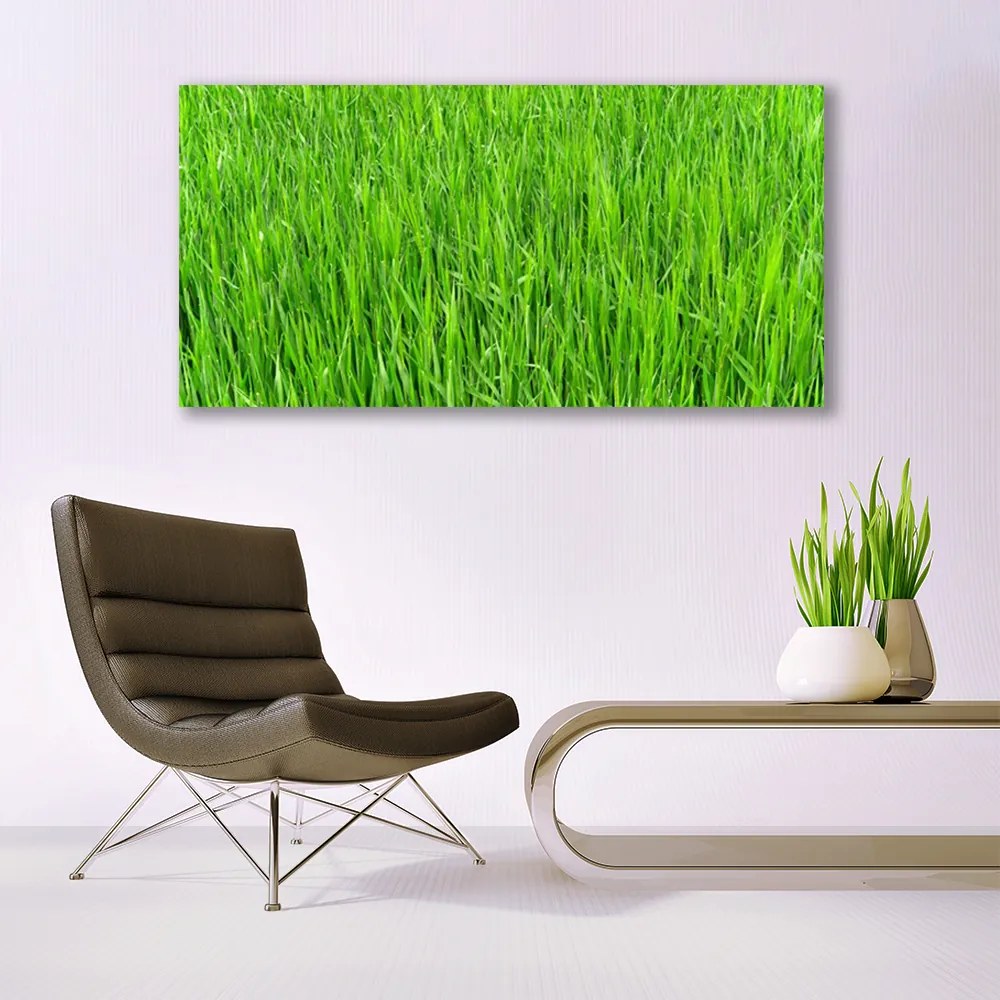 Plexisklo-obraz Zelená Tráva Příroda Trávník 120x60 cm