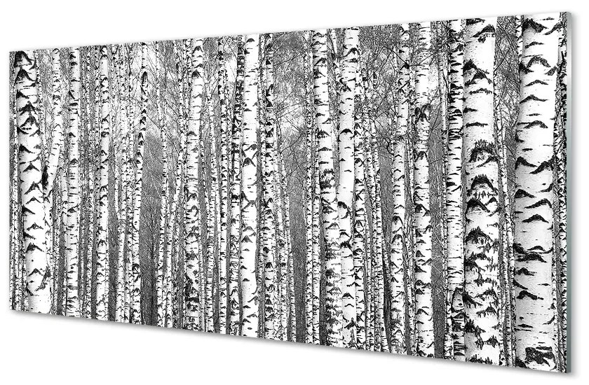 akrylový obraz Černá a bílá strom 140x70 cm