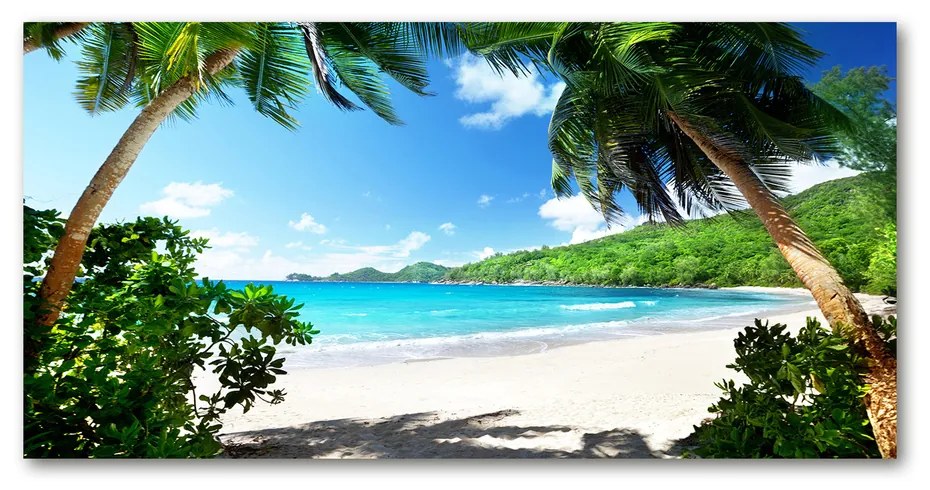 Wallmuralia Foto obraz akrylový Seychely pláž 140x70 cm