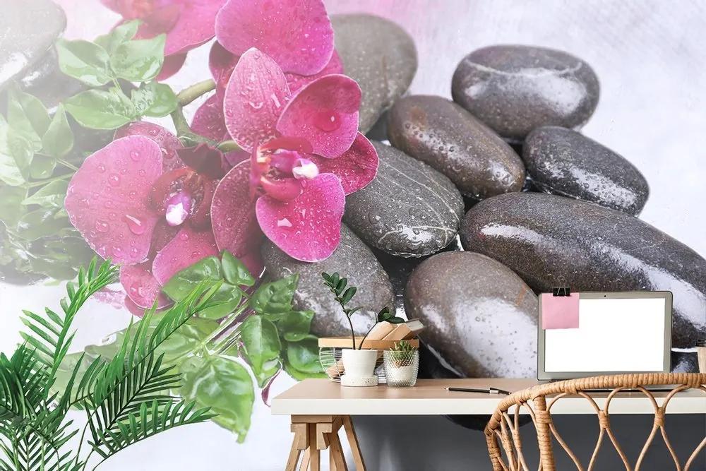 Samolepící fototapeta kvetoucí orchidej a wellness kameny - 225x150 cm