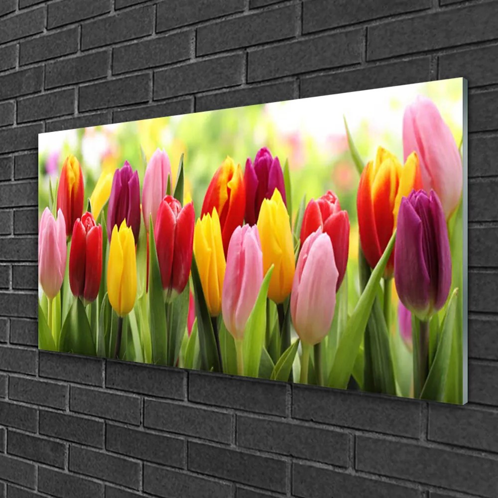 Obraz na skle Tulipány Květiny Příroda 100x50 cm