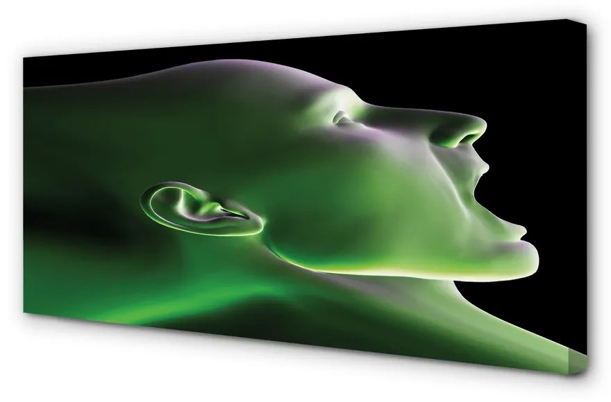Obrazy na plátně V čele muž zelenou 125x50 cm