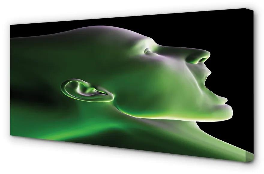 Obrazy na plátně V čele muž zelenou 100x50cm