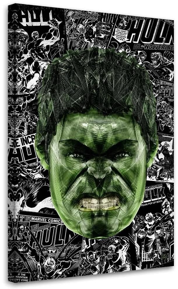 Gario Obraz na plátně Zelený Hulk - Rubiant Rozměry: 40 x 60 cm