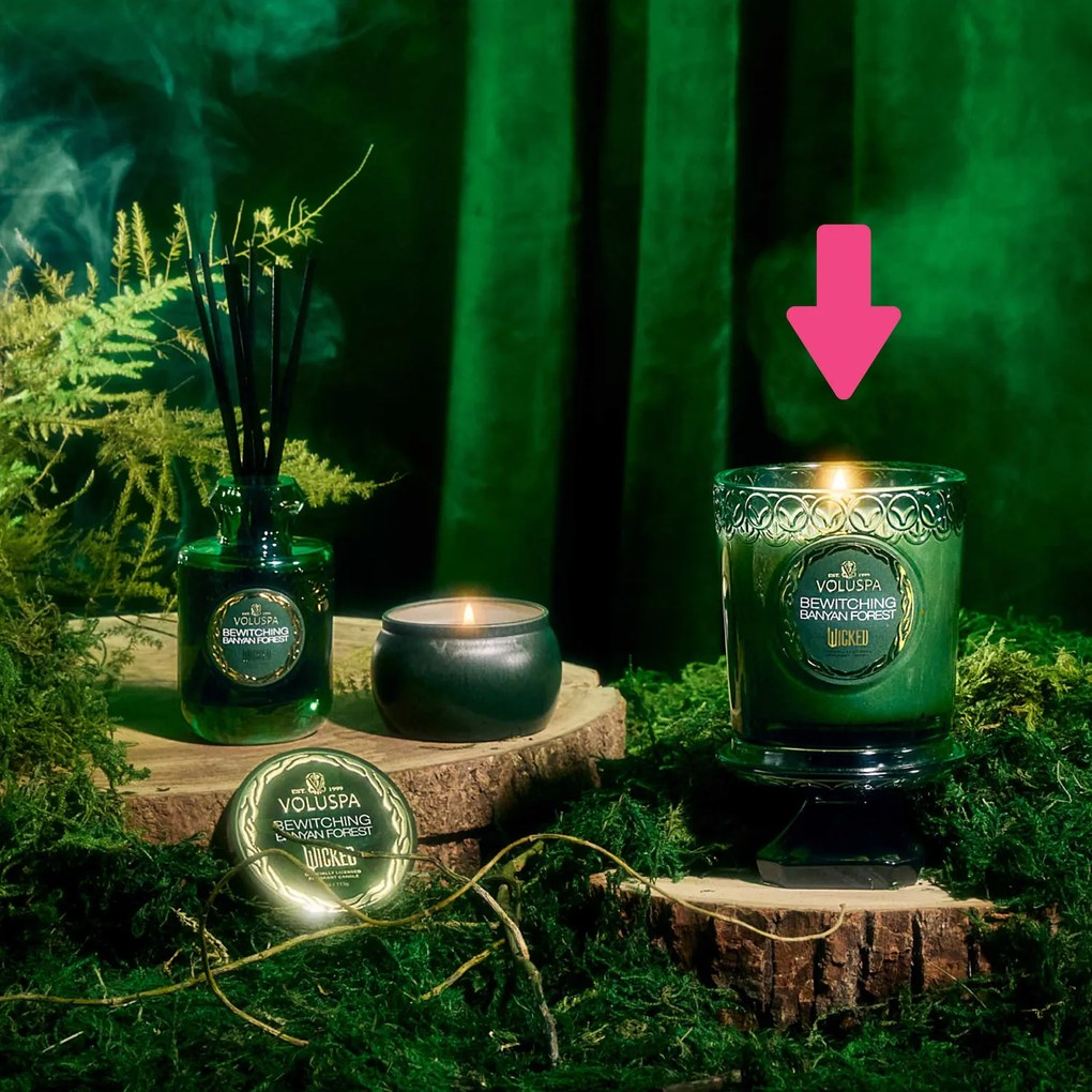 Voluspa Wicked svíčka Bewitching Banyan Forest, 241 g