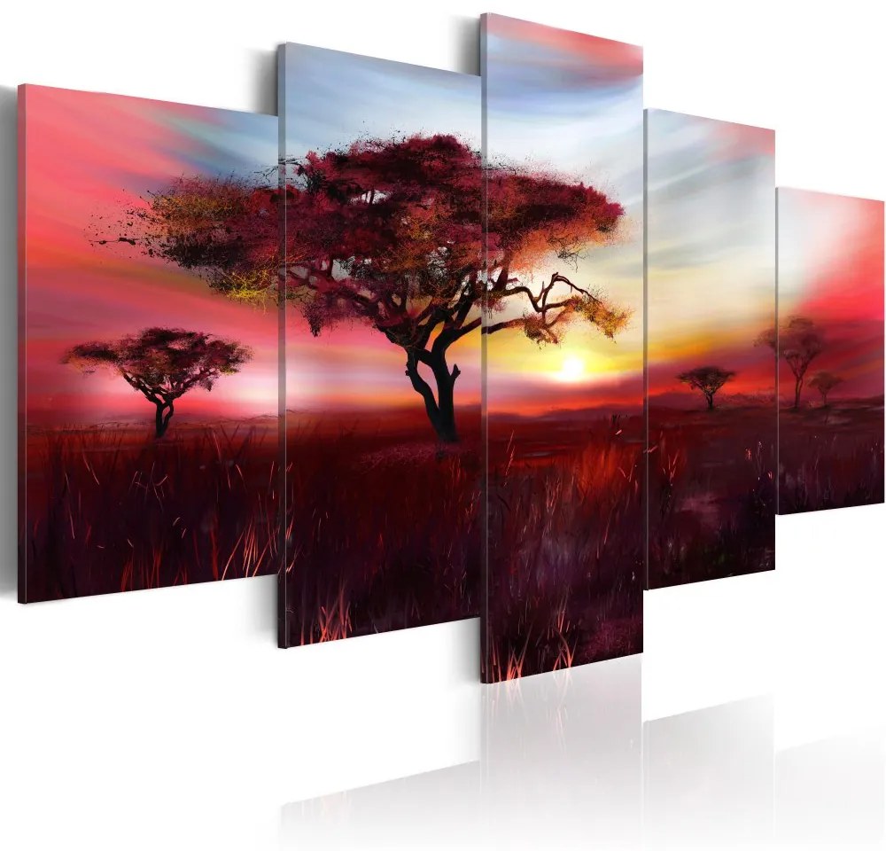 Obraz na plátně Bimago - Wild savannah 100x50 cm