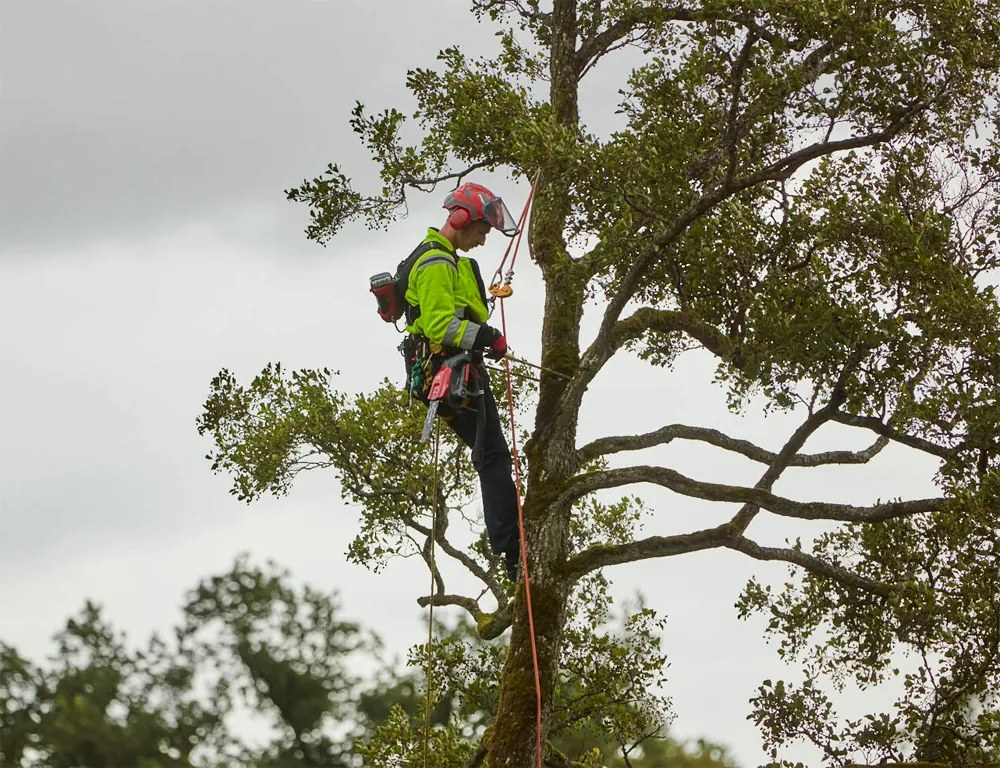CRAMER 82TCS15 akumulátorová vyvětvovací řetězová pila