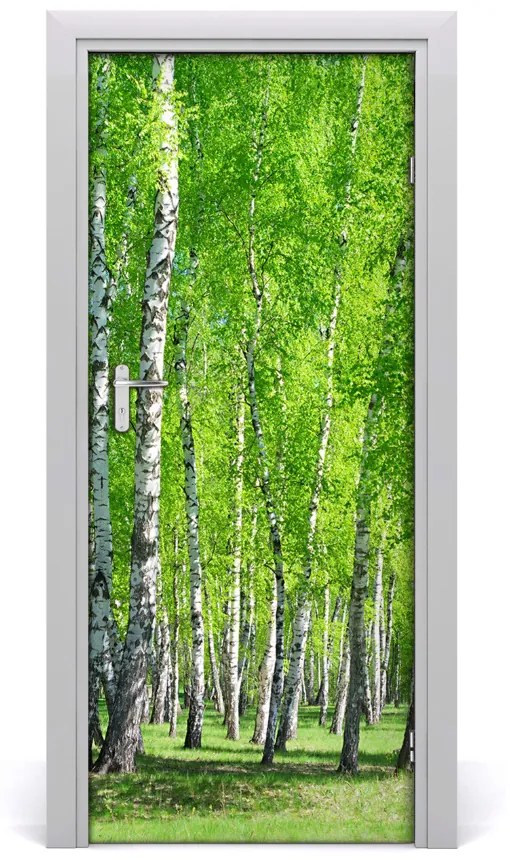 Fototapeta na dveře samolepící břízový les 75x205 cm