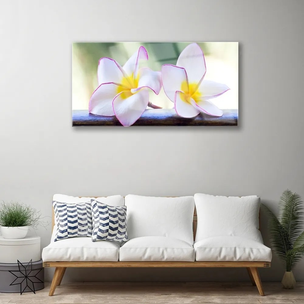 Plexisklo-obraz Květiny Plátky Plumérie 100x50 cm