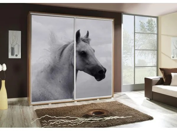 PENY skříň, posuvné dveře s grafickým potiskem - kůň