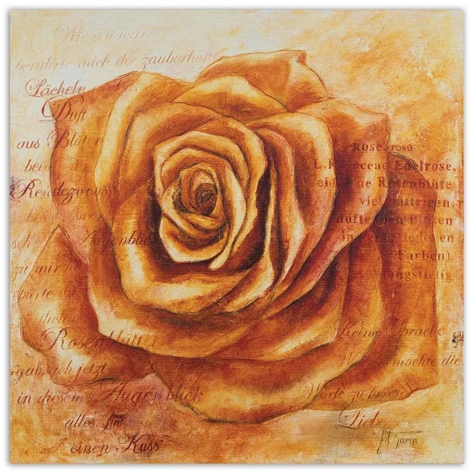 Obraz na plátně Rose Flower Orange - 50x50 cm