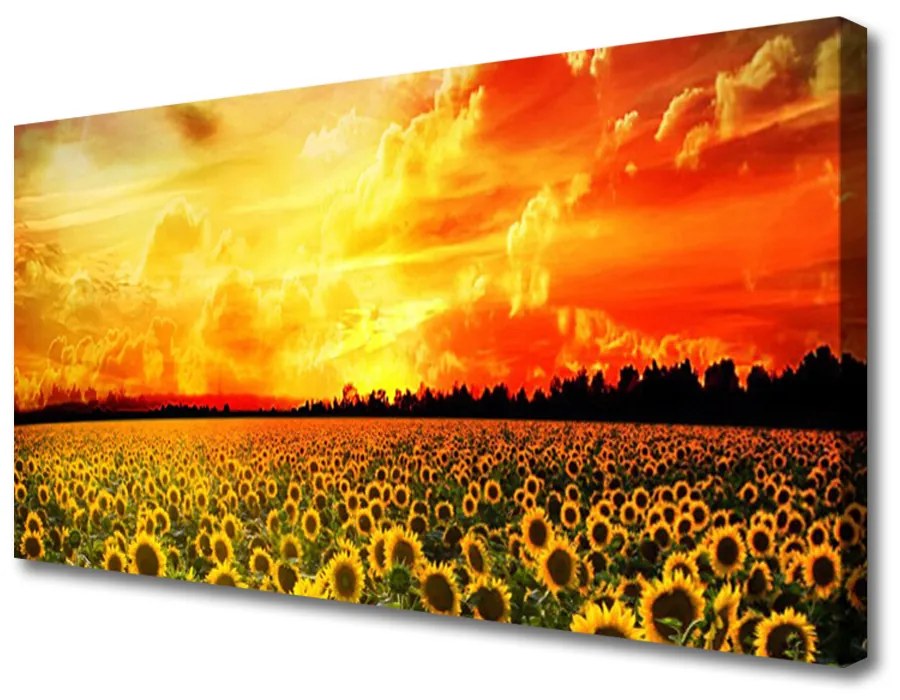 Obraz na plátně Louka Slunečnice Květiny 140x70cm