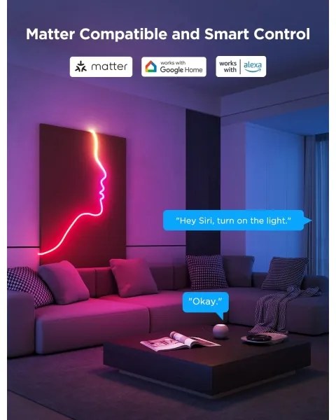 Govee - Neon 2 MATTER ohebný LED pásek 5m RGBIC Wi-Fi IP67