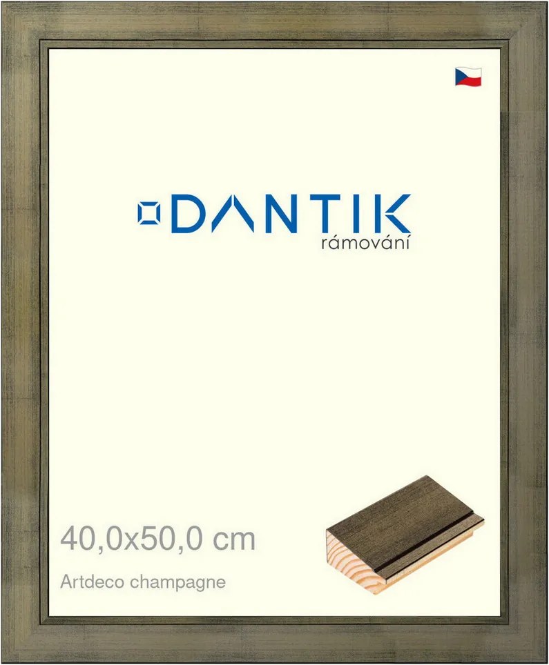 DANTIK rámeček 40x50 | Artdeco Champagne (Plexi Čiré)