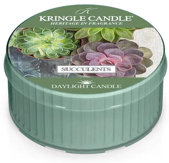 Kringle Candle Vonná Svíčka Succulents, 35 g