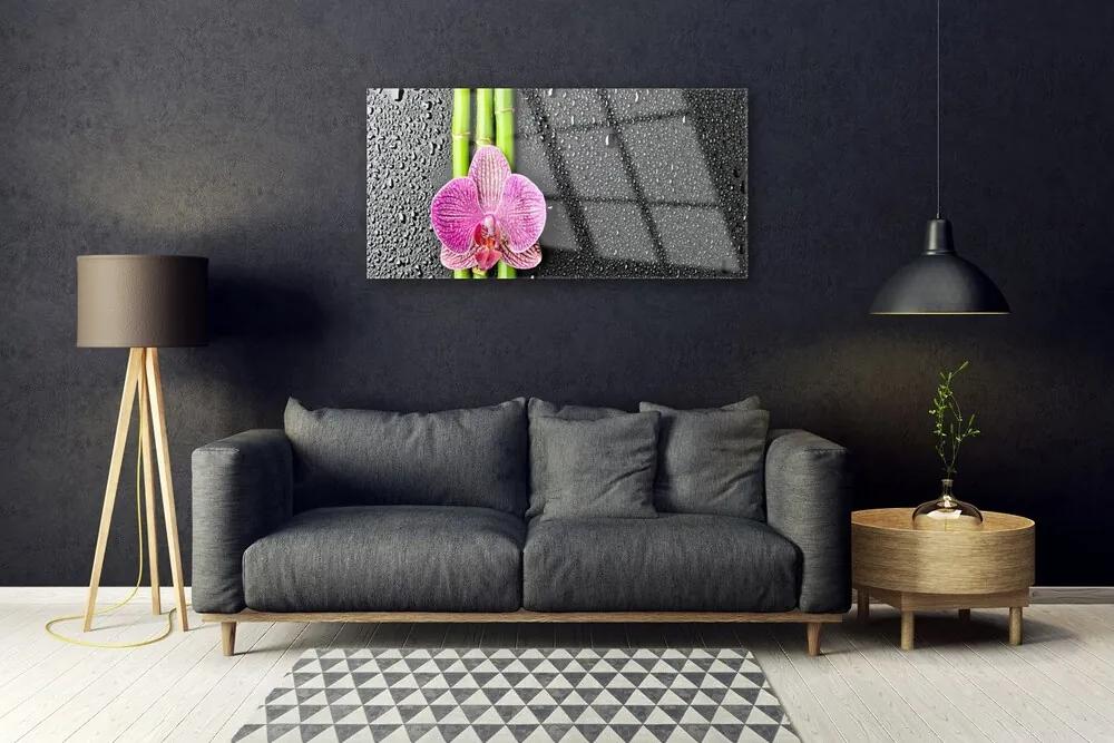 Obraz na skle Bambus Květ Rostlina Příroda 120x60 cm