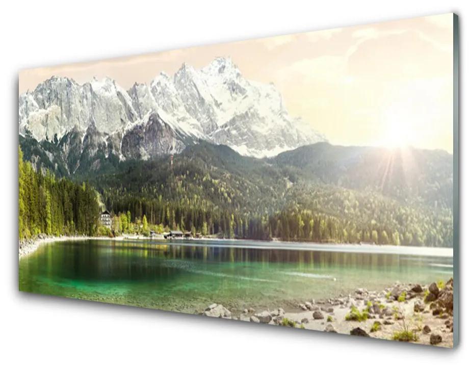 Plexisklo-obraz Hory Les Jezero Krajina 120x60 cm