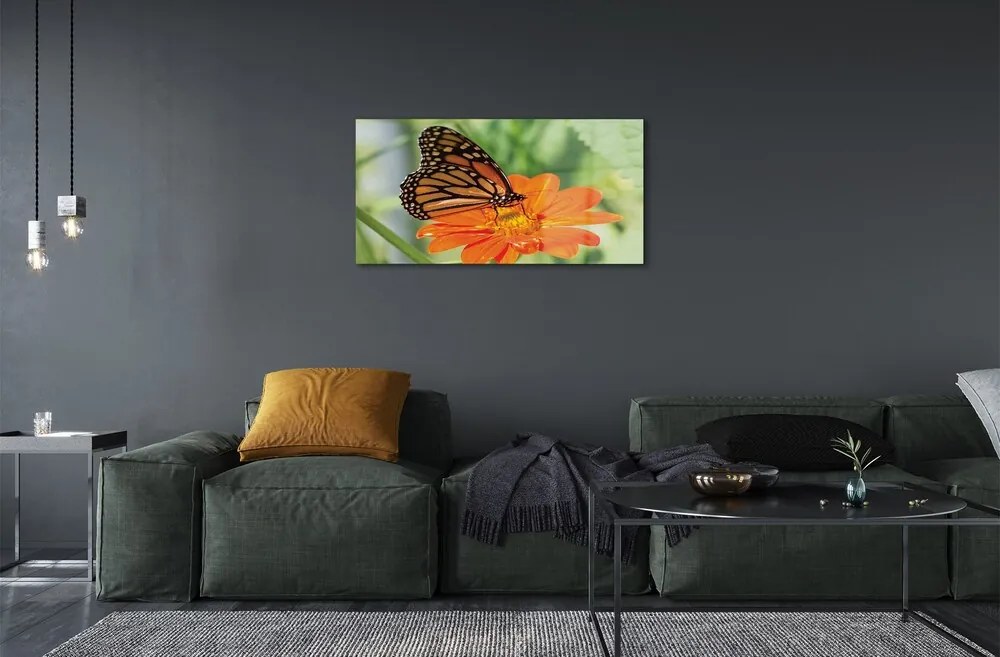Obraz na skle Květ barevný motýl 125x50 cm