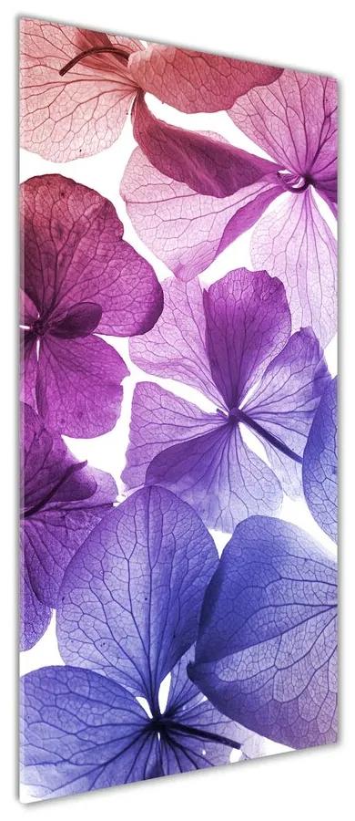 Wallmuralia Foto obraz skleněný svislý Fialové květiny 50x125 cm