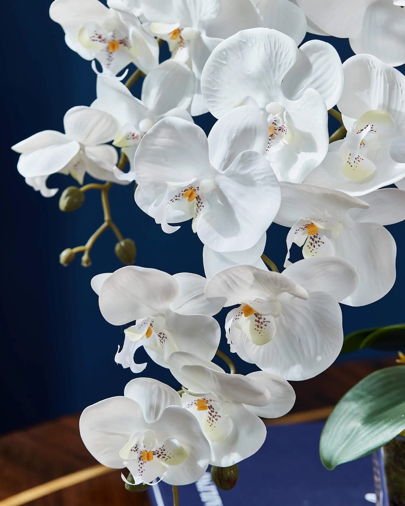 Côte Noire Orchid Bouquet kytice parfémovaných orchidejí Ivory White